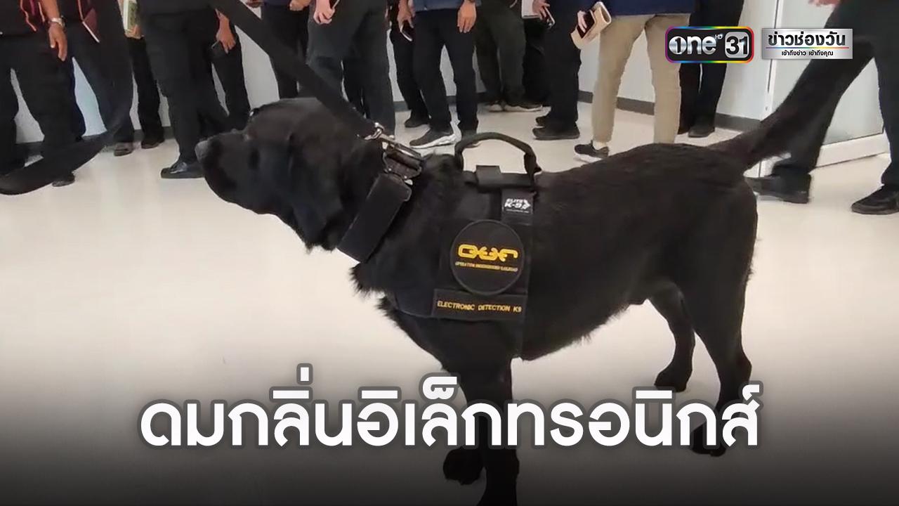 บก.ปคม.เปิดตัวสุนัขตรวจจับอุปกรณ์เก็บข้อมูลอิเล็กทรอนิกส์ "ฮิดุ" (ESD ...