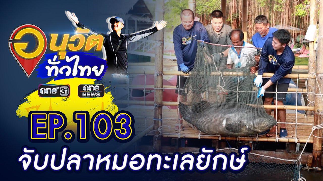 จับปลาหมอทะเลยักษ์ จ.จันทบุรี | อนุวัตทั่วไทย | EP.103 | one31