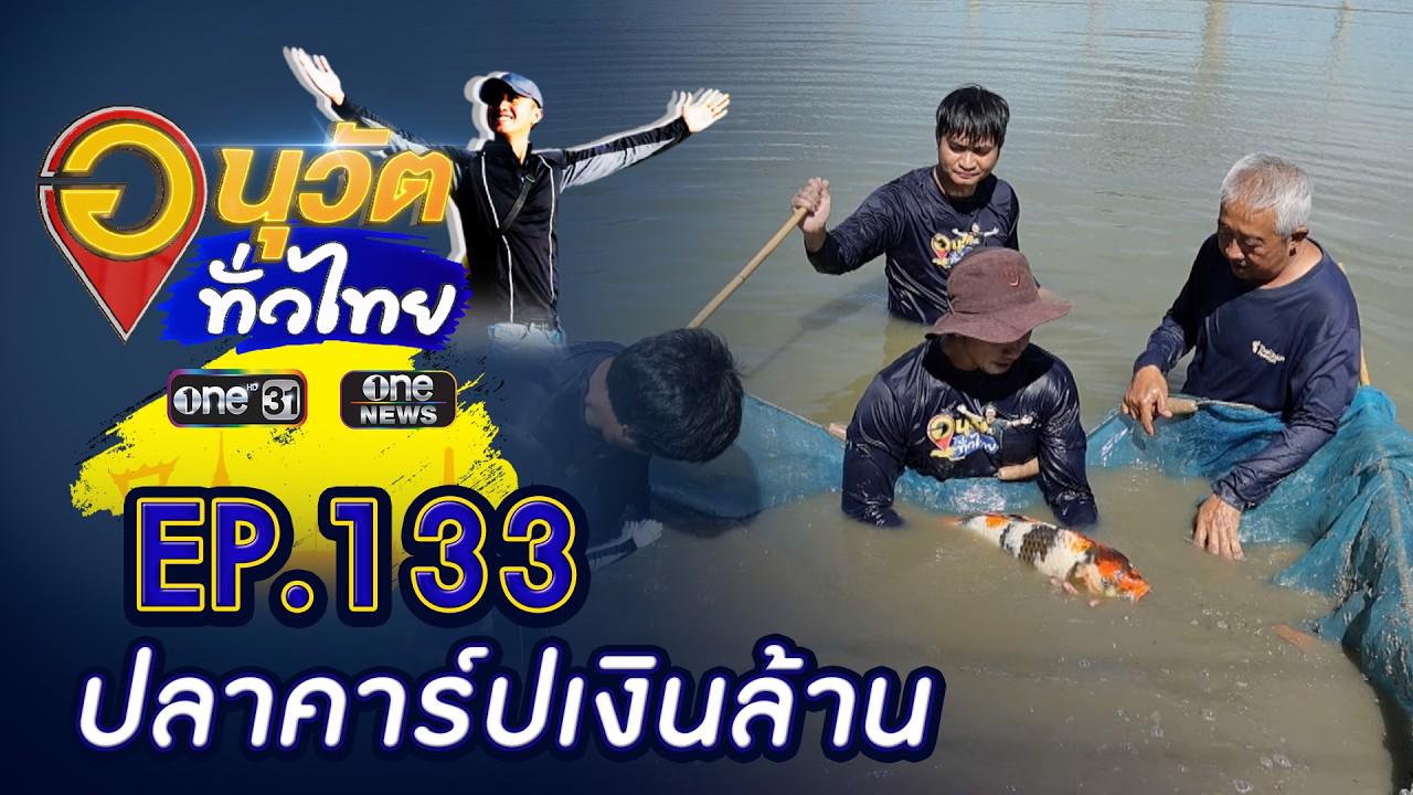 ปลาคาร์ปเงินล้าน จ.ราชบุรี | อนุวัตทั่วไทย | EP. 133 | one31